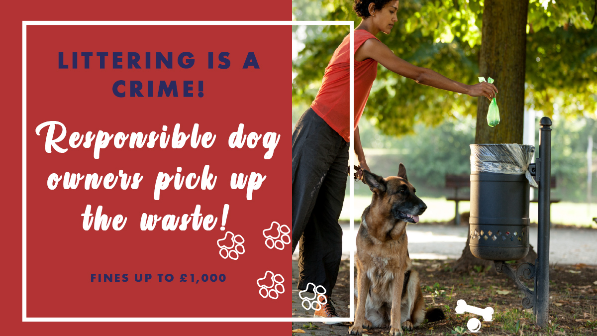 4 Creative Campaigns for Councils to Tackle Dog Waste - Cromwell
