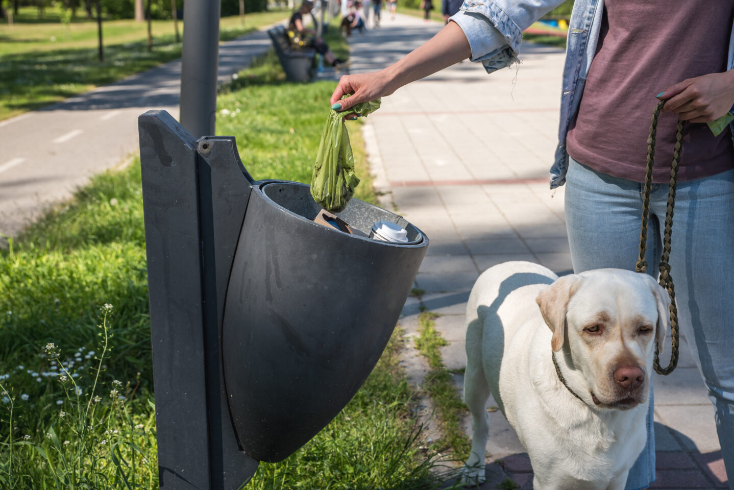 4 Creative Campaigns for Councils to Tackle Dog Waste - Cromwell