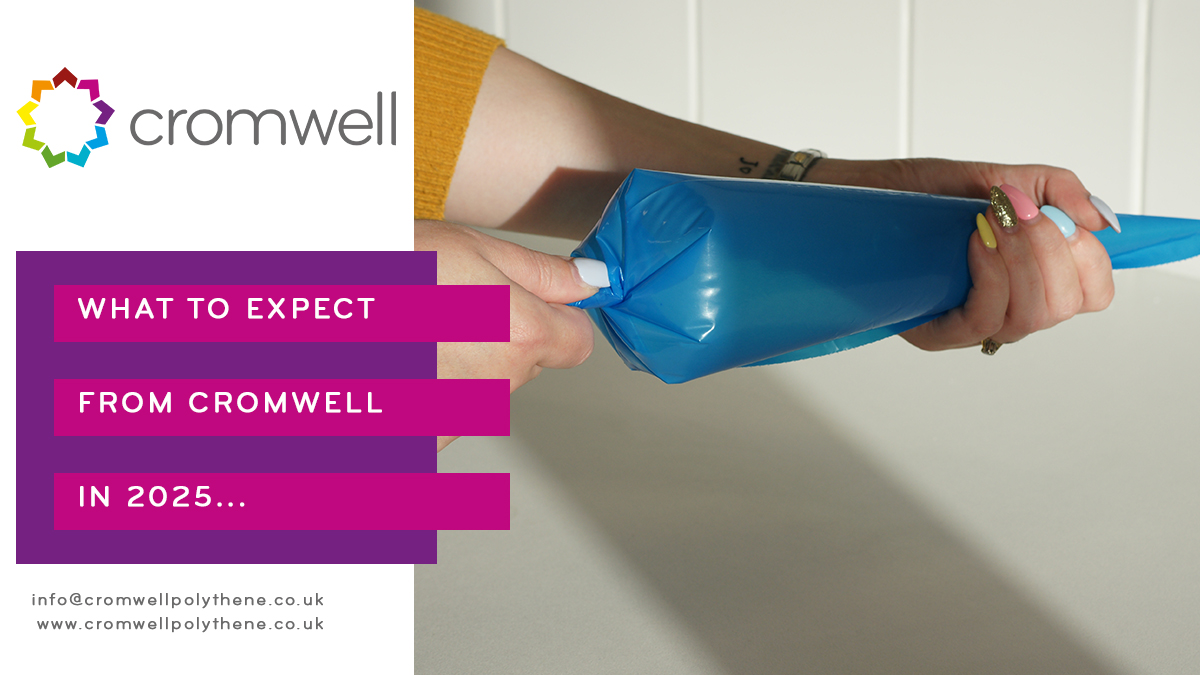 What To Expect From Cromwell in 2025 - Cromwell